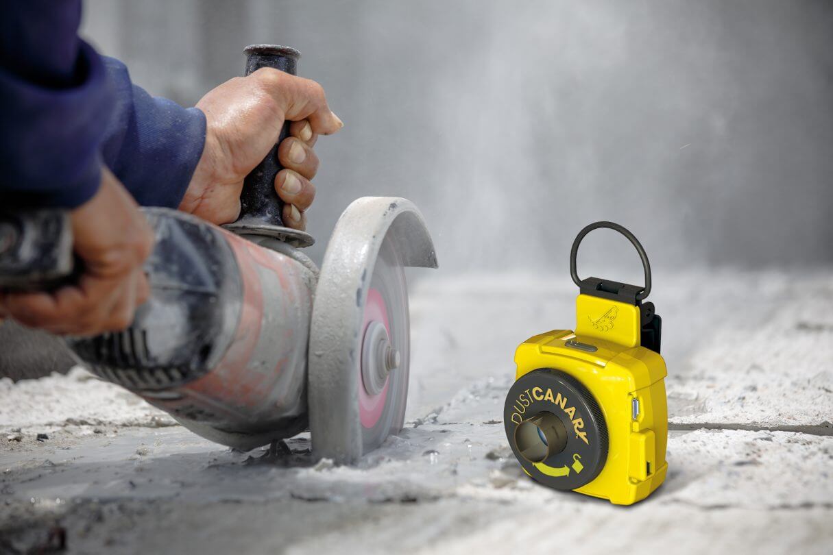 Helping Dust Canary Develop a Business Concept - CDT